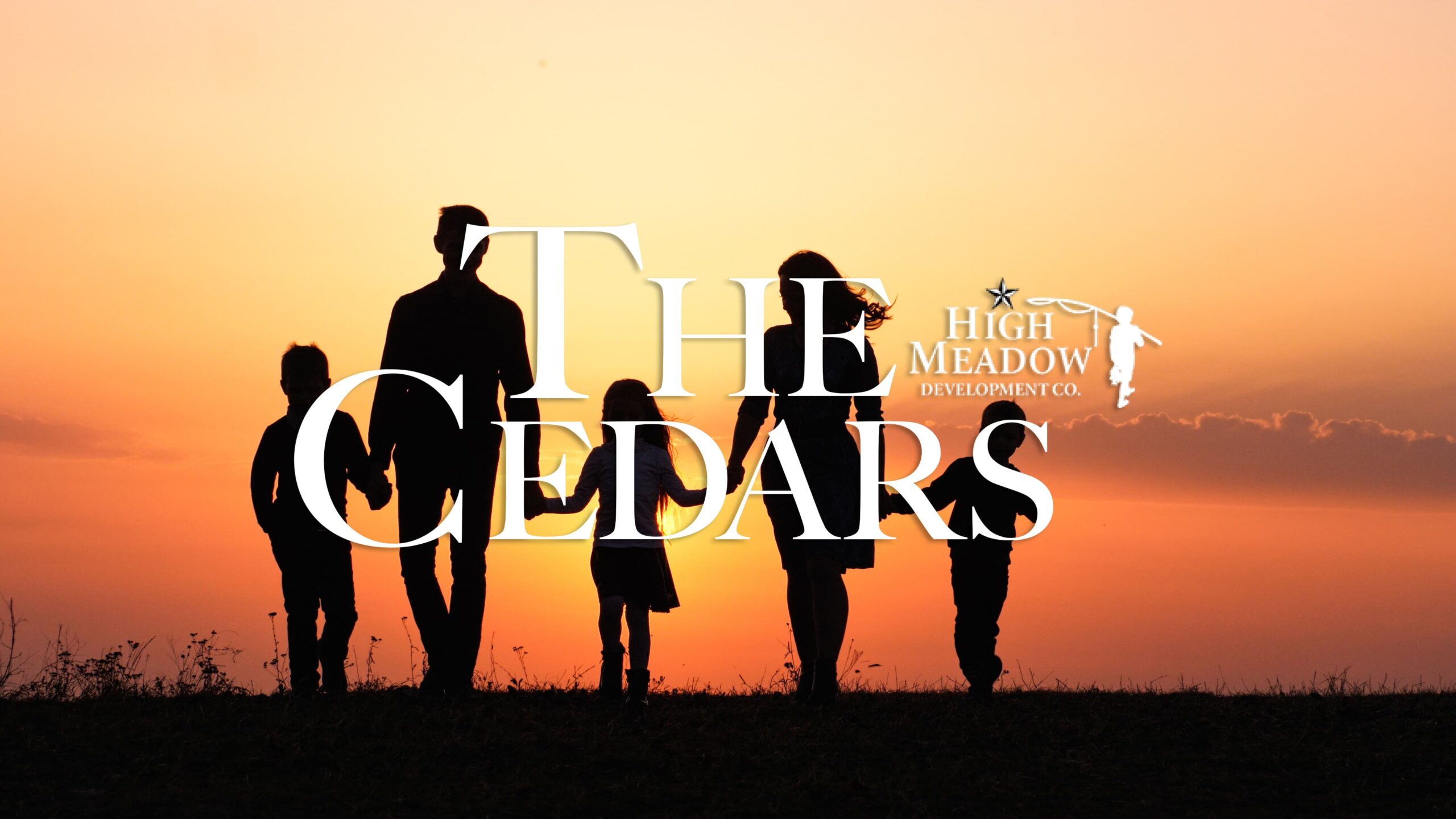 The Cedars - LEVELTX